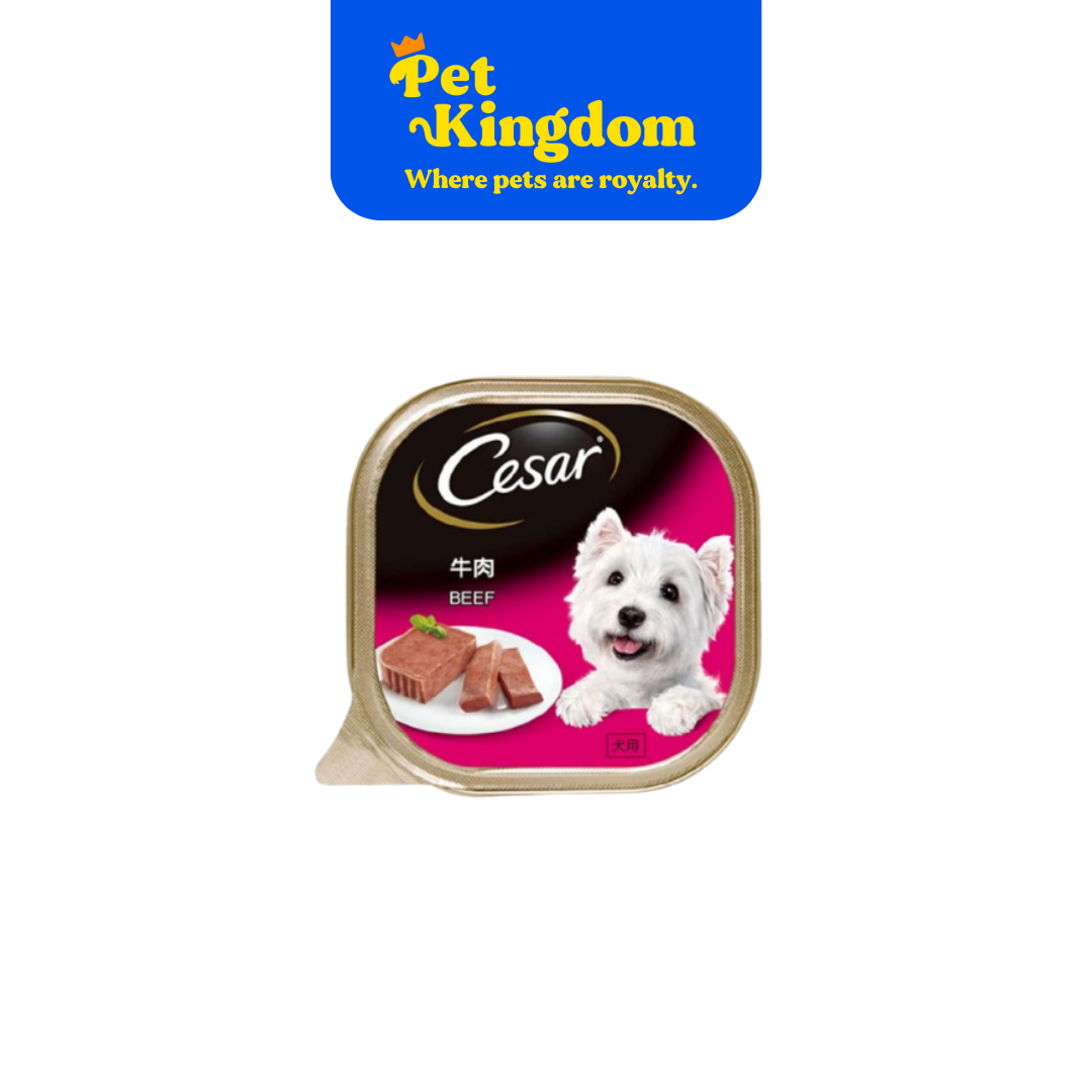 CESAR Beef 100g – Pet Kingdom