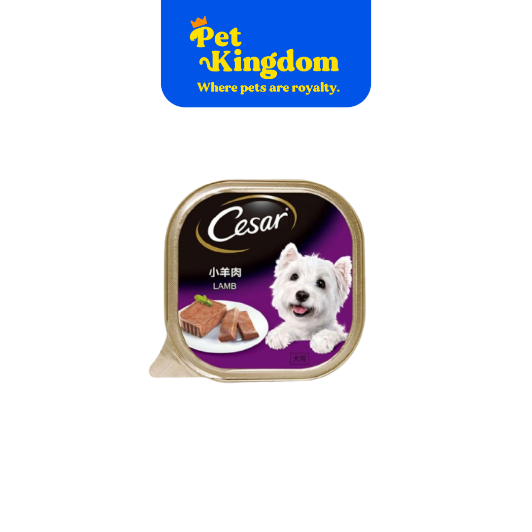 CESAR Lamb 100g – Pet Kingdom