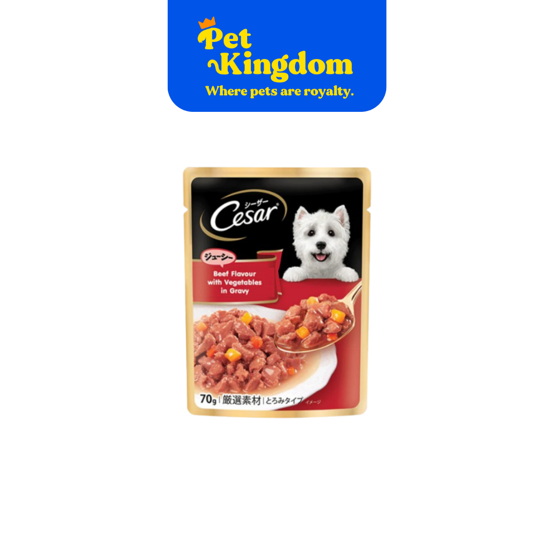 CESAR Pouch Beef Flavour with Vegetables in Gravy 70G – Pet Kingdom