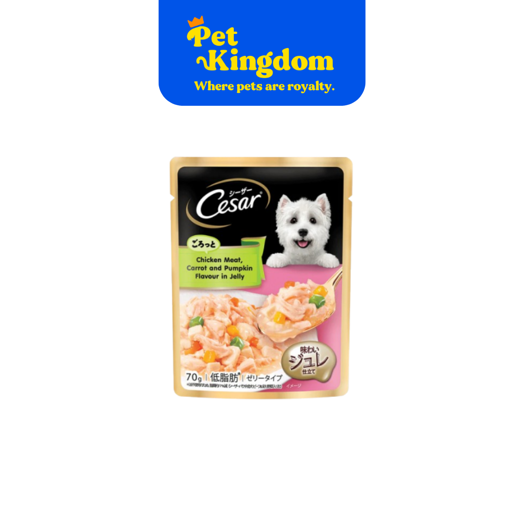 CESAR Pouch Chicken Meat with Carrot & Pumpkin in Jelly 70G – Pet Kingdom