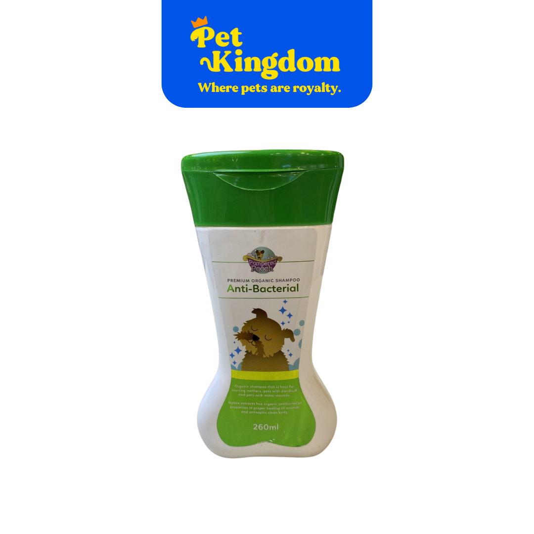 PAMPERED POOCH SHAMPOO &CONDITIONER ANTI-BACTERIAL 260ML – Pet Kingdom