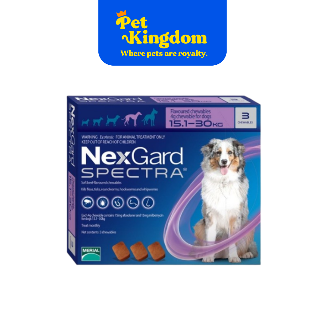 NEXGARD SPECTRA LARGE 15 TO 30 KG - RX – Pet Kingdom